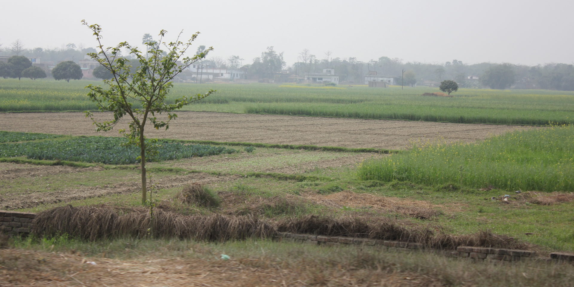 Building Evidence on Citizen Engagement and Government Accountability ...